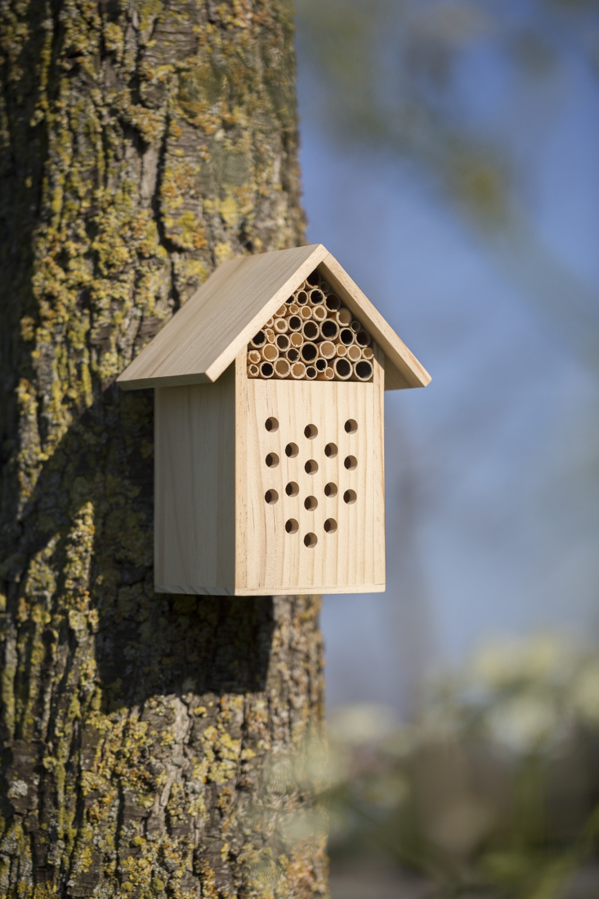 Casetta delle api in legno da giardino personalizzarta